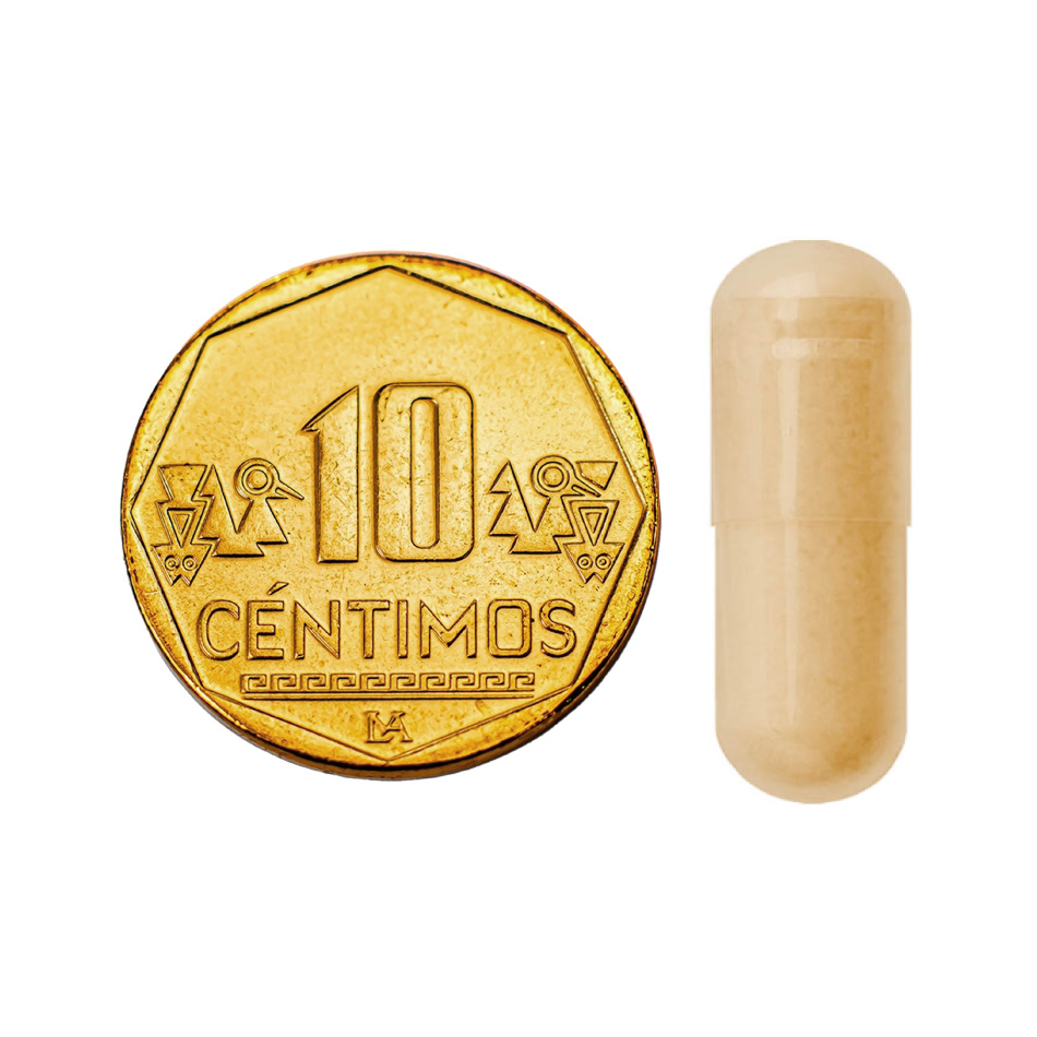 Ginger (Kion) 500 MG (60 Cápsulas)
